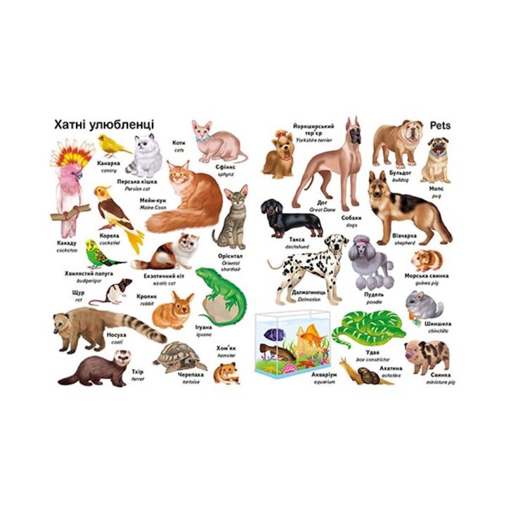 Купити книгу Перші слова. Тварини + англійська - (978-966-947-495-7) в Києві, Україні - ціна в ...