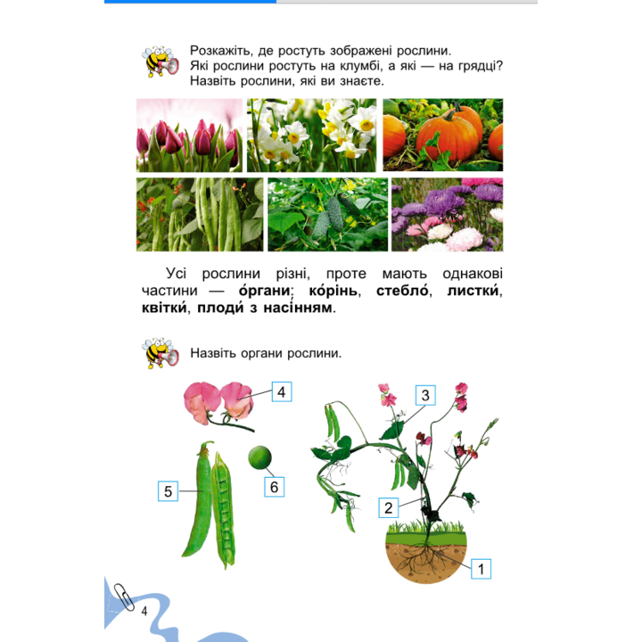 Купити книгу Я досліджую світ 1 клас Частина 2 Підручник Тетяна Гільберг Світлана